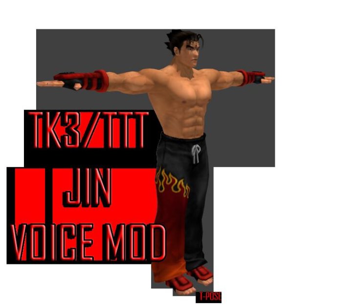 TekkenMods - TK3/TTT Jin Voicemod